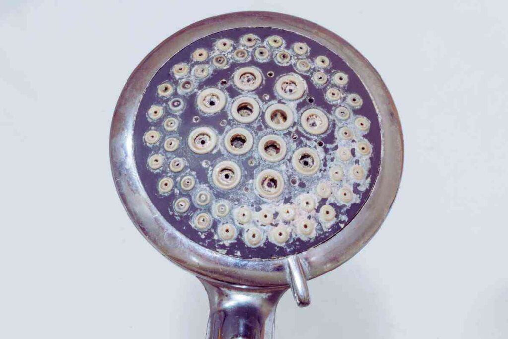 Soffione doccia pulito e senza calcare in breve tempo: la soluzione ...
